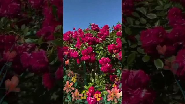 Весна! Глазами художника!