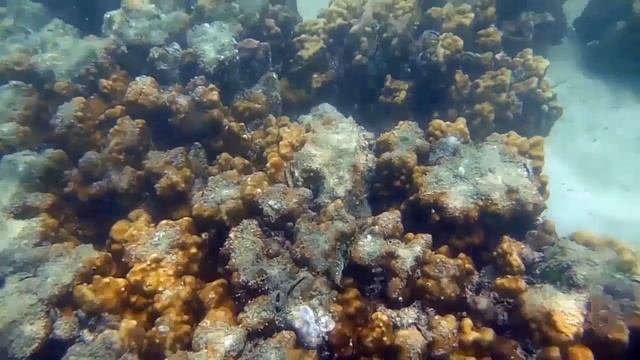 Южно-Китайское море. Остров Принцессы.