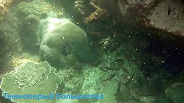 Южно-Китайское море.Подводная Одиссея