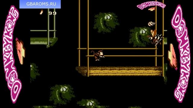 NES - Donkey Kong Country 4