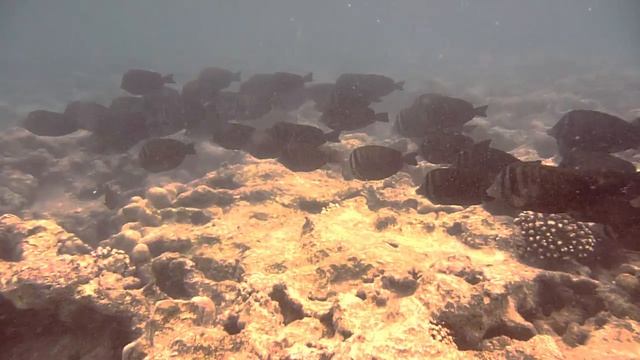 4. Фанара, часть 4