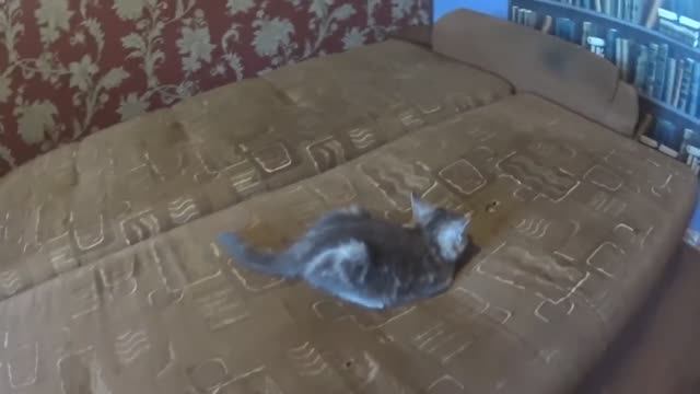 Ремонт дивана своими руками