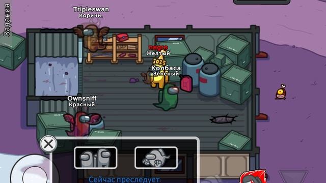 Амонг ас /#17/