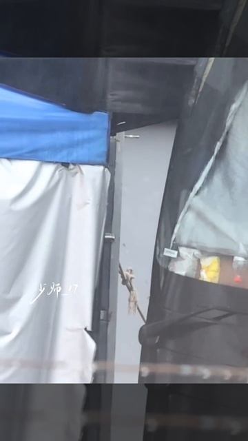 Чэн И | 🎬 24 стратегии Чанъаня | 20.02.2025