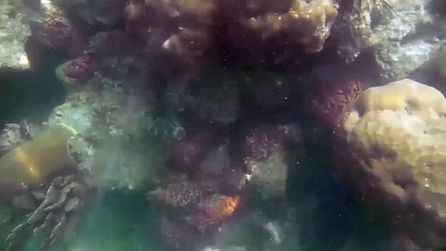 Южно-Китайское море. Остров Талу.