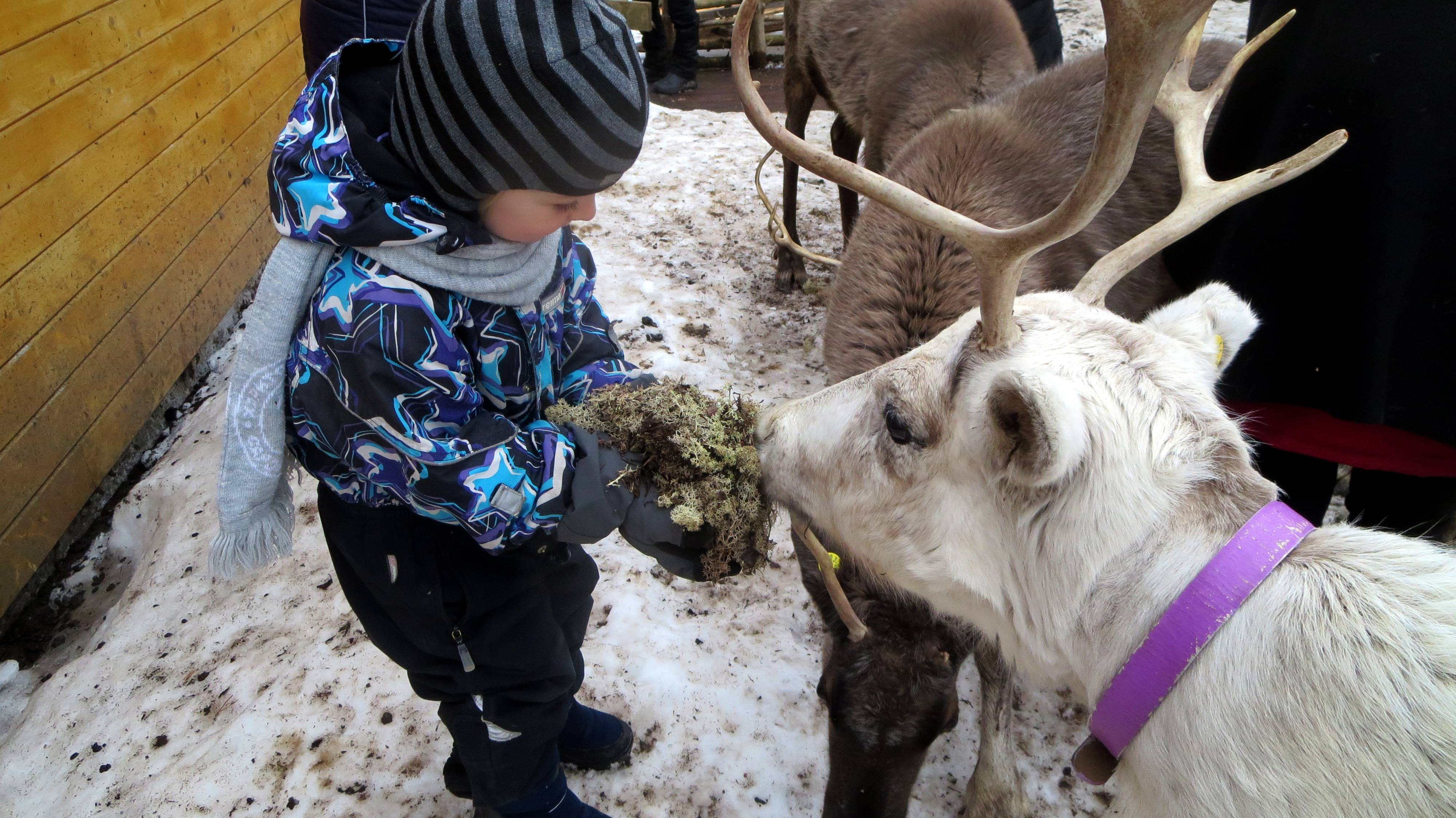 Охота за полярным сиянием. Чем занять маленького участника в ожидании ночной охоты.