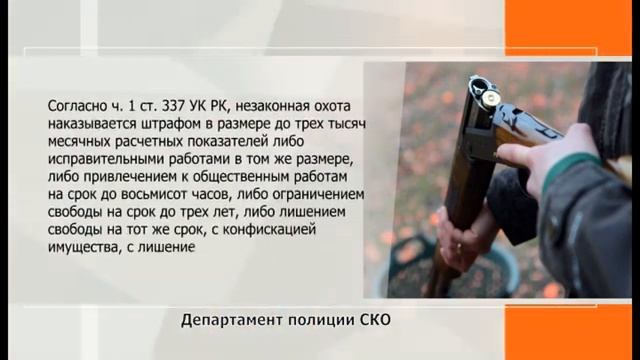 Новости МТРК  19.02.2025