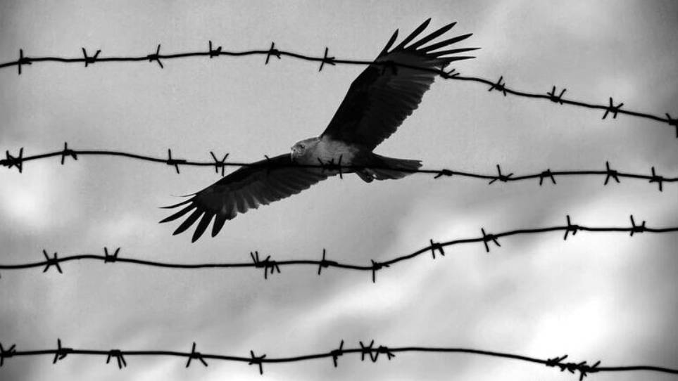 Андрей МИСИН "Узник"