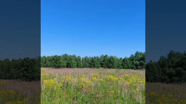 Д. Головари (природа рядом с деревней).