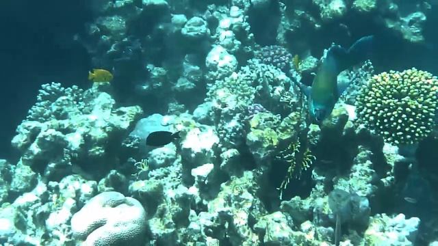 2. Фанара, часть 2