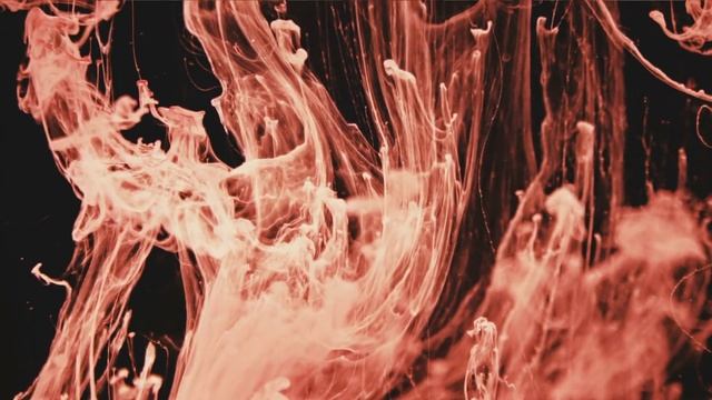 Почему вы имеете то, что имеете? Это может объяснить пирамида Дилтса.