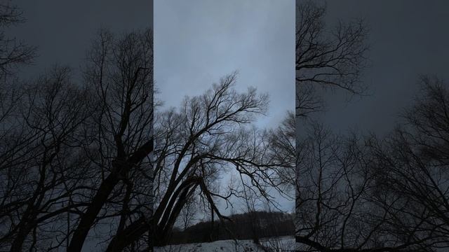 Инсайты во сне