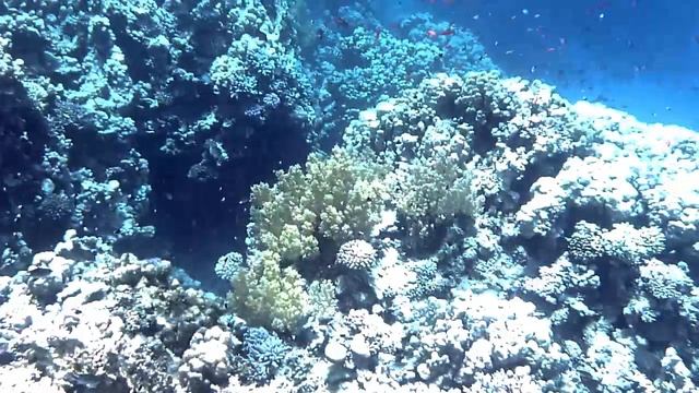 6. Фанара, часть 6