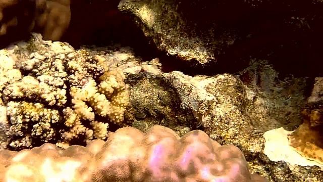 7. Фанара, часть7