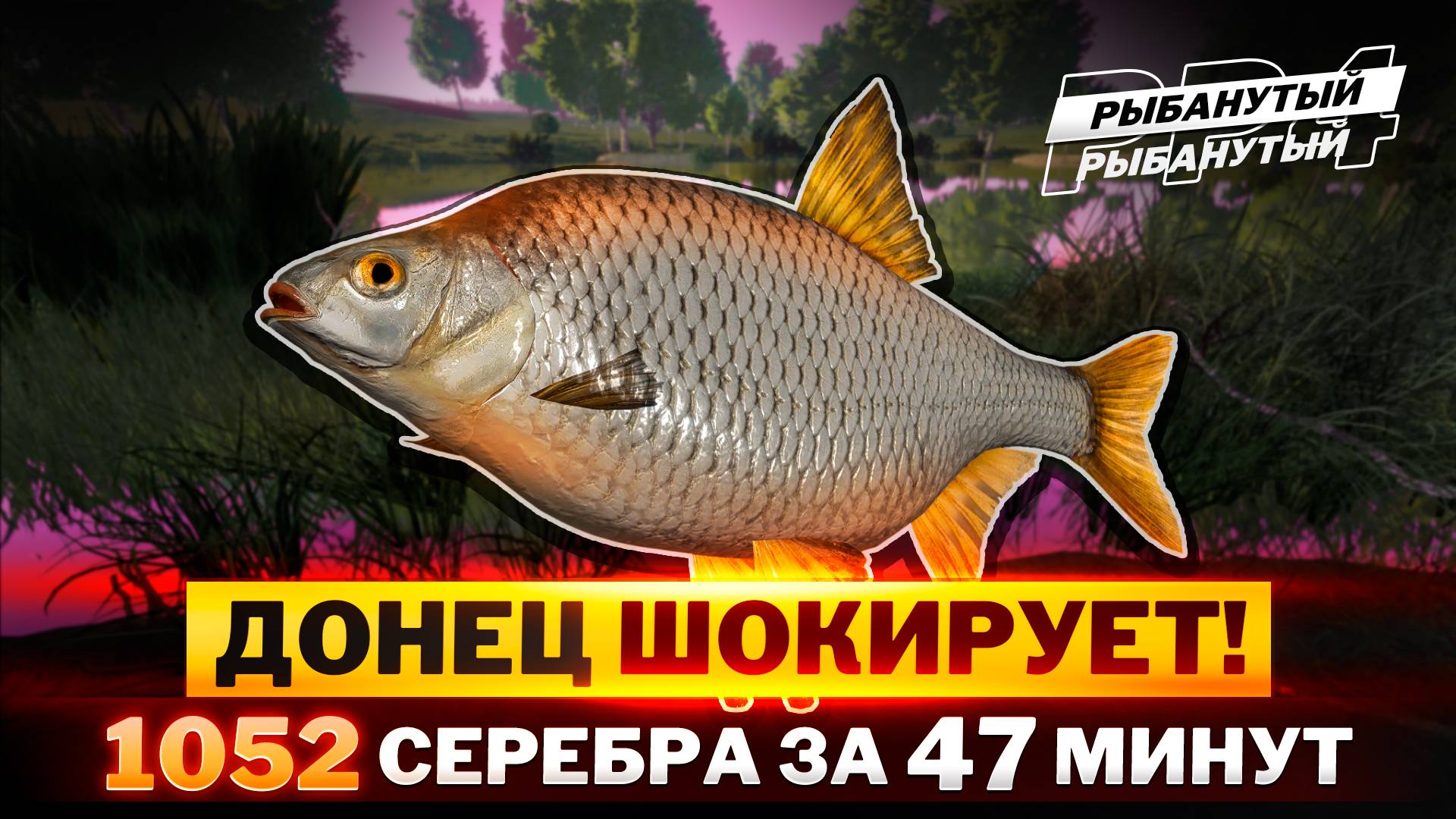 1052 монеты. ТОПОВЫЙ ФАРМ серебра на Донце. Русская Рыбалка 4