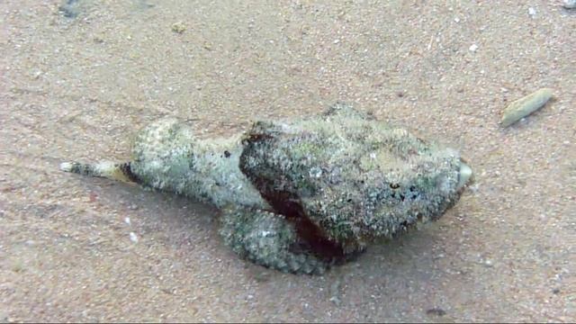 3. Набила, ч.3