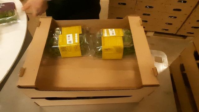 Нанесенная этикека на лотки с зеленью