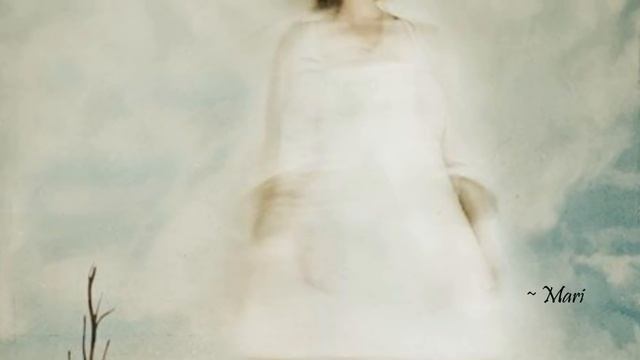 The Handsome Family ~ Far From Any Road