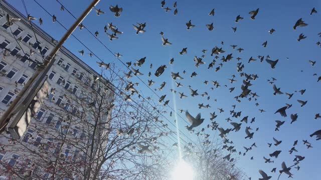 Иногда полезно немного замедлиться и оглядеться вокруг 🧚♀💚