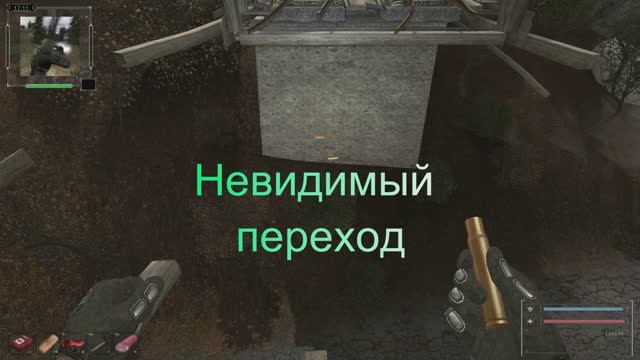 ОП 2.2 НЕВИДИМЫЙ ПЕРЕХОД В ТЁМНОЙ ЛОЩИНЕ.