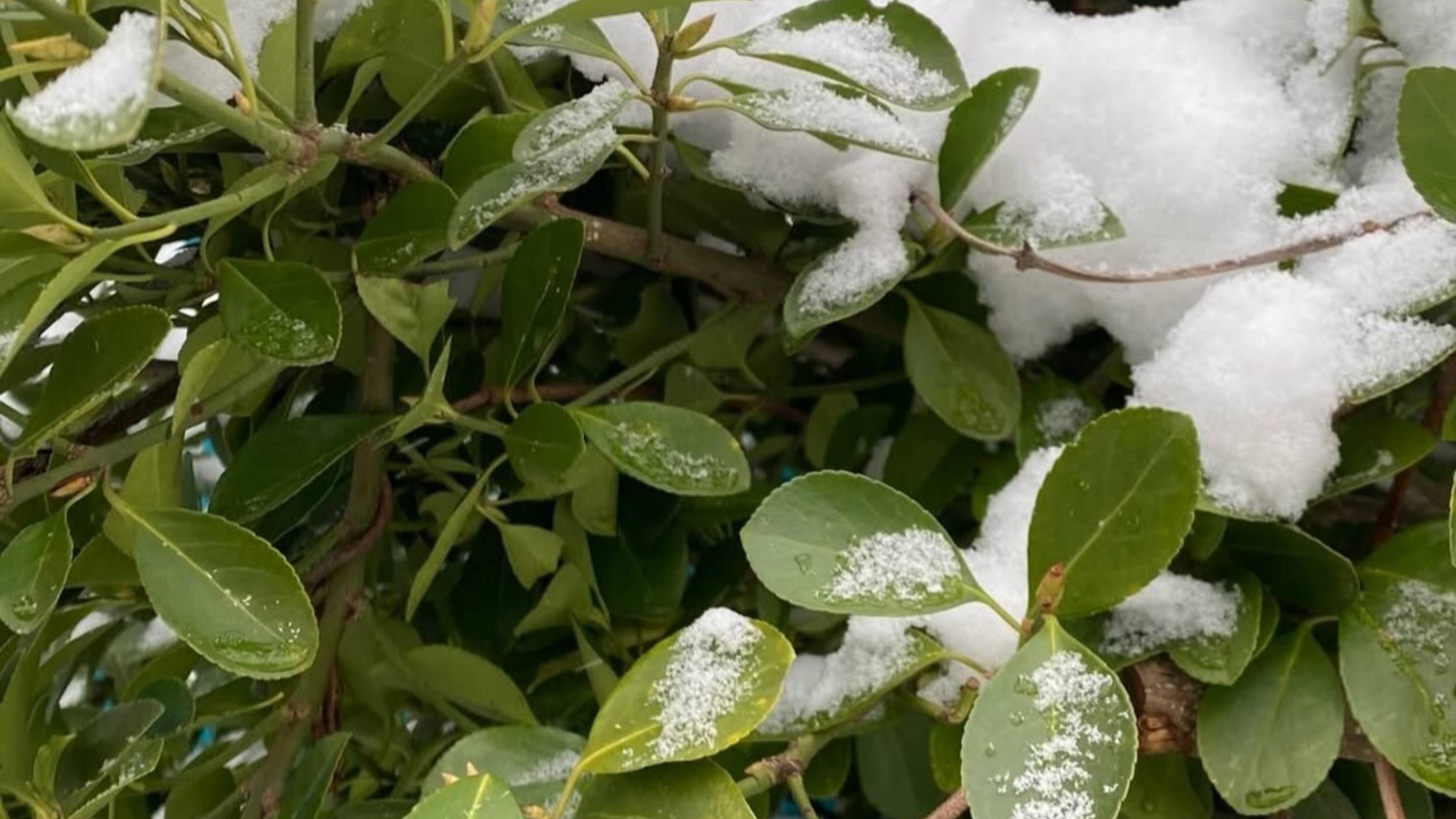 Тапочки одноразовые/ Испортила сковородку/ Сорочка- до дыр/ Пустые баночки.