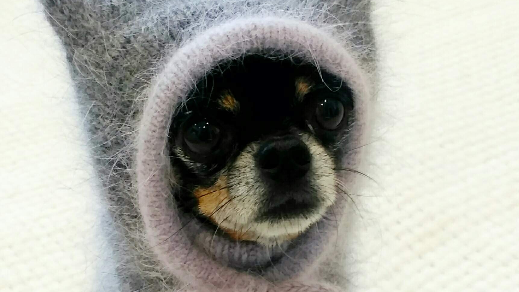 часть 3 Вяжем капюшон