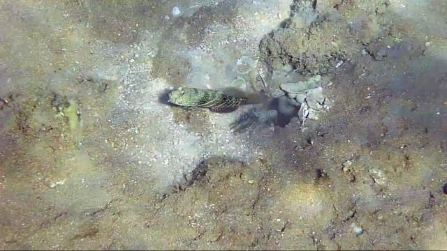 4.Набила, ч.4