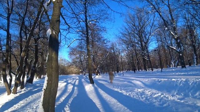 Прогулка в зимнем парке.