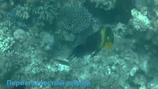 1. Фанара, часть1