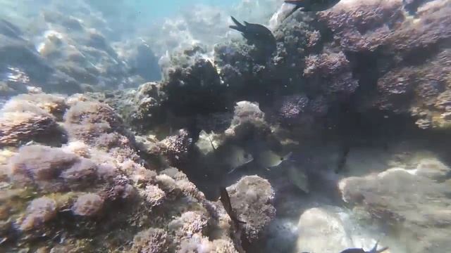 Средиземное море. Алания