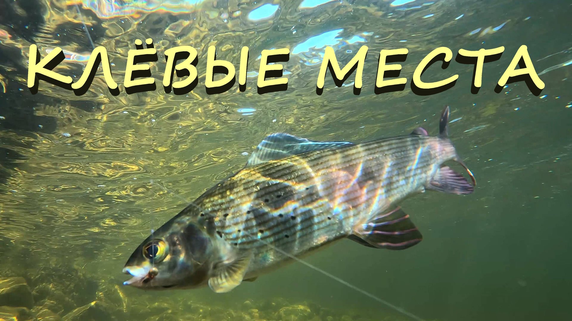 ЛОВЛЯ ХАРИУСА В ШИВЕРАХ | РЫБАЛКА В СИБИРИ