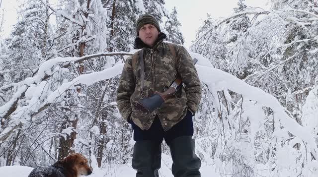 Охота на зайца