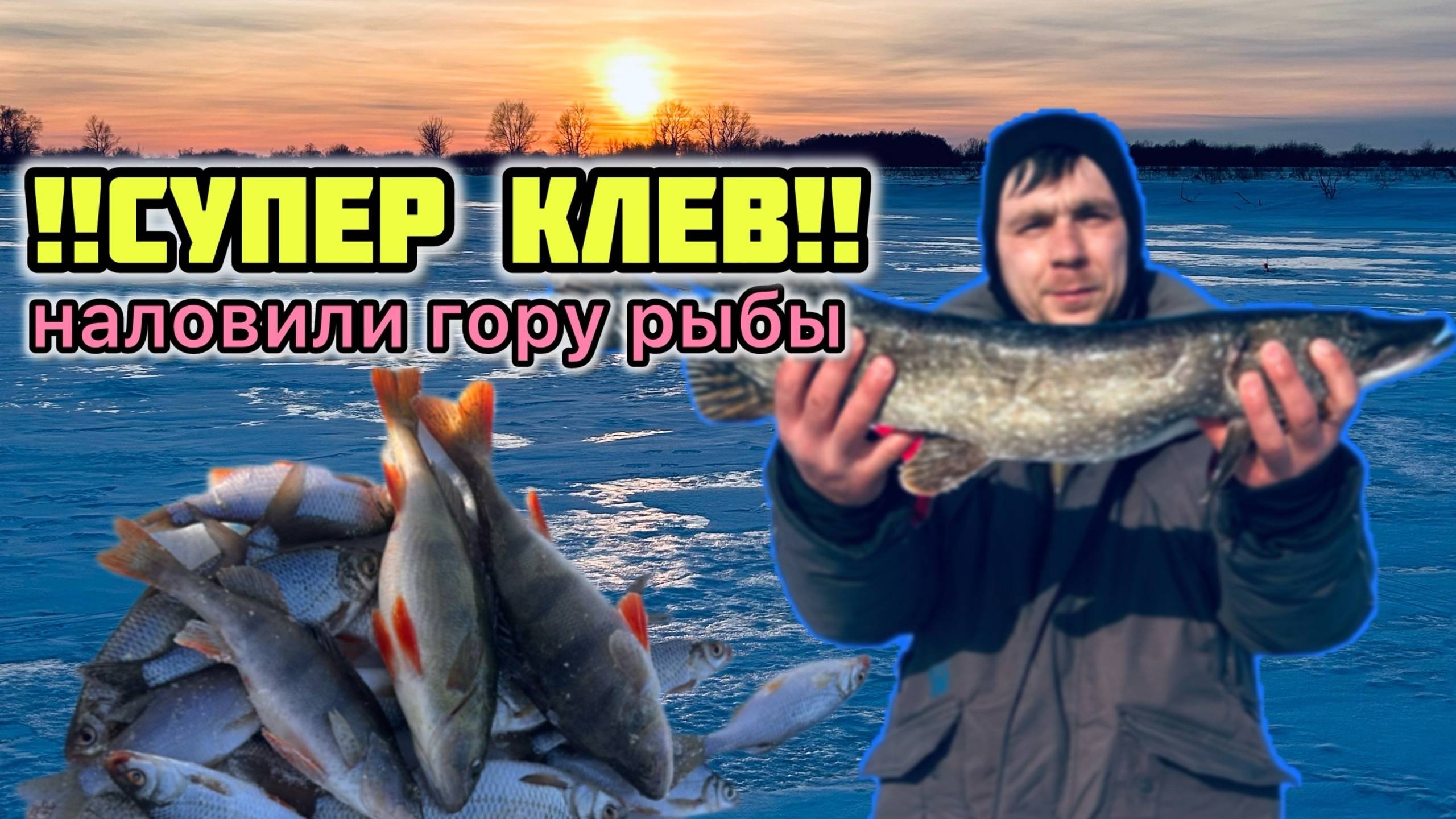 Наловили ГОРУ РЫБЫ