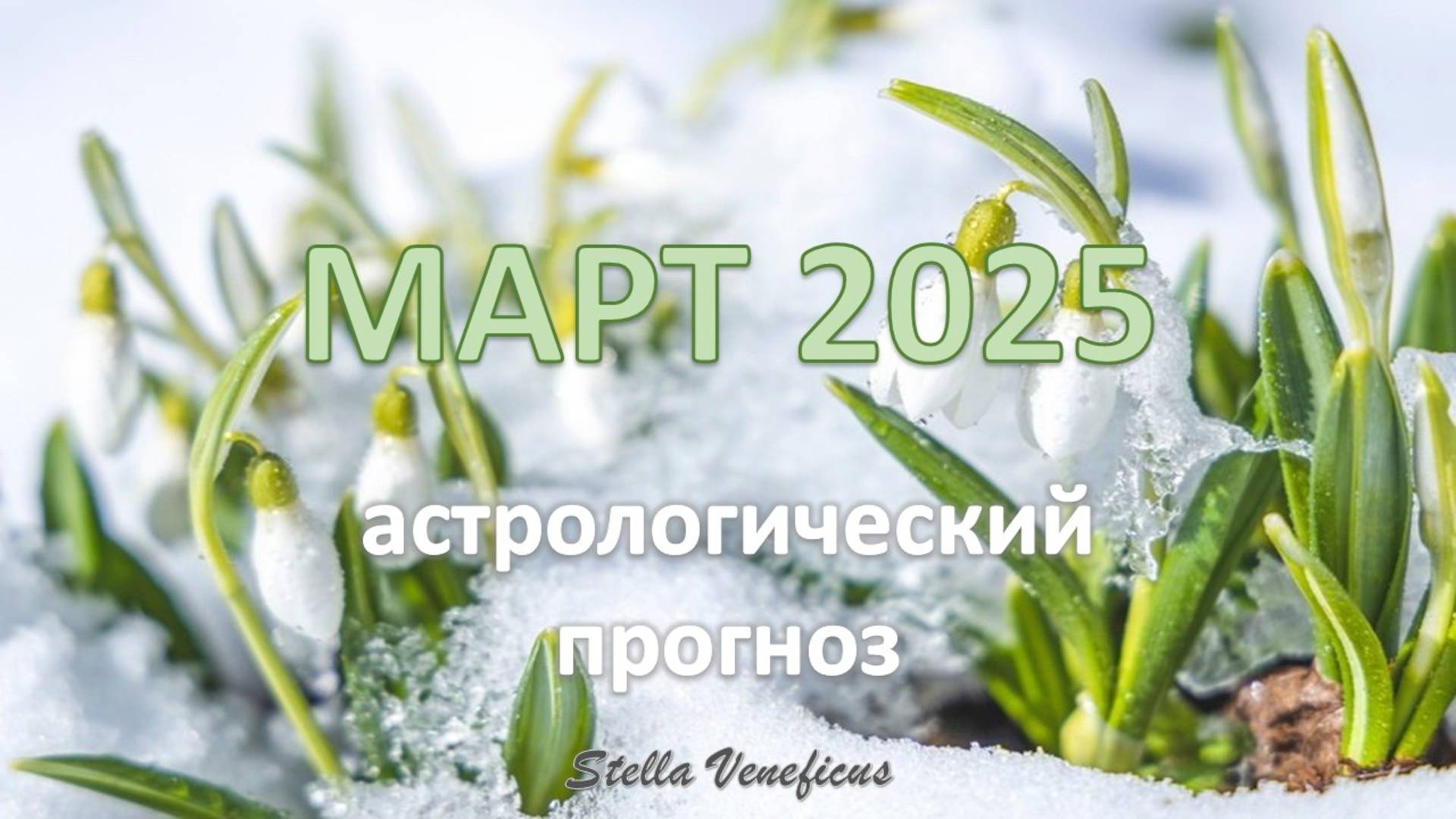 МАРТ 2025 г. - ОБЩИЙ АСТРОЛОГИЧЕСКИЙ ПРОГНОЗ. ЗАТМЕНИЯ.