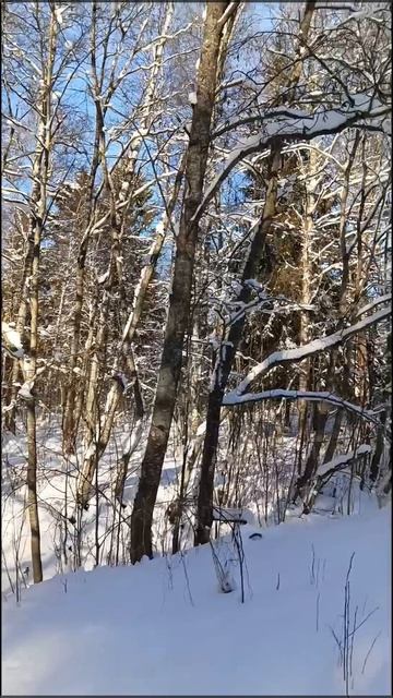 Зима за городом ☀️❄️