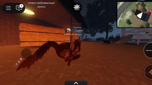 Топ 3 игры от разработчиков Котов-воителей