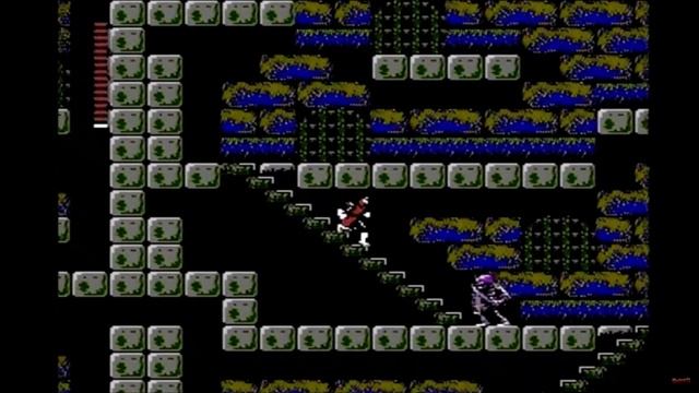 На кухне Castlevania II