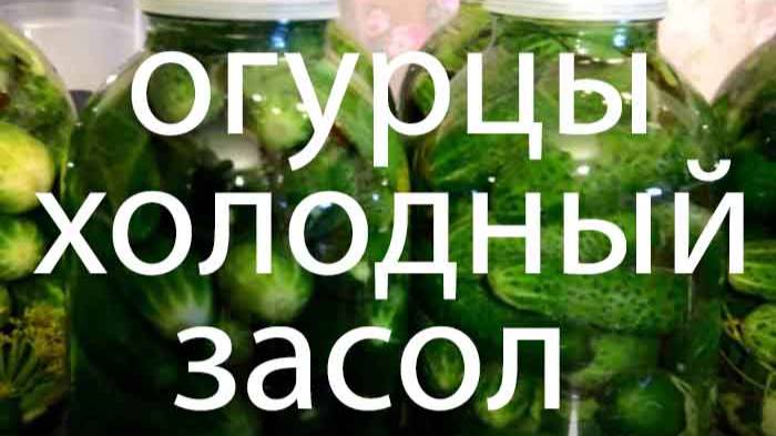 Соленые огурцы заготовка на зиму холодным засолом