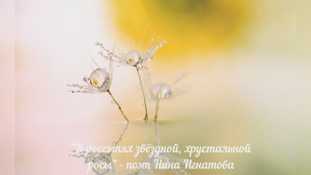 "В РОССЫПЯХ ЗВЁЗДНОЙ, ХРУСТАЛЬНОЙ РОСЫ"- ПОЭТ НИНА ИГНАТОВА