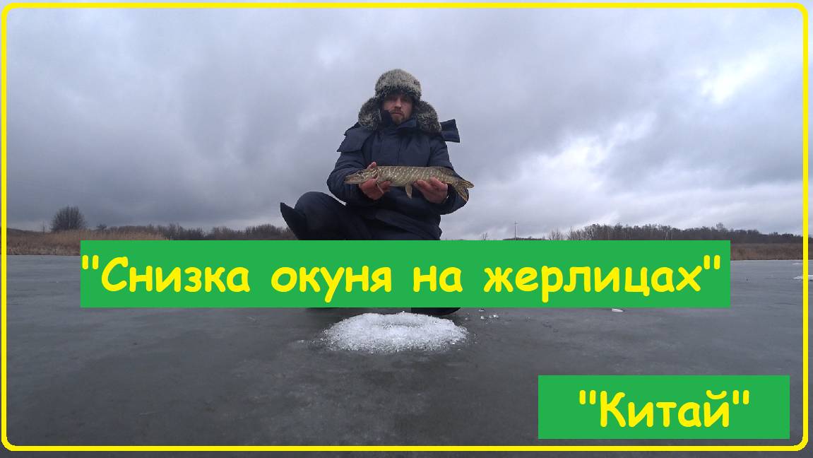 "Снизка окуня на жерлицах". пруд "Китай".