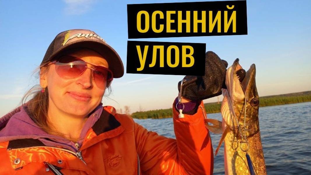 Рыбалка с лодки осенью: Ловля щуки и окуня на спинниг