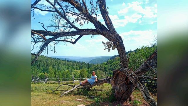 1. Дорога на Урал, винегрет 2023