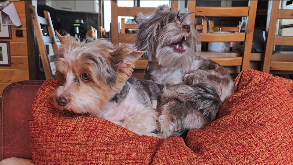 ДОЖДАЛИСЬ👍