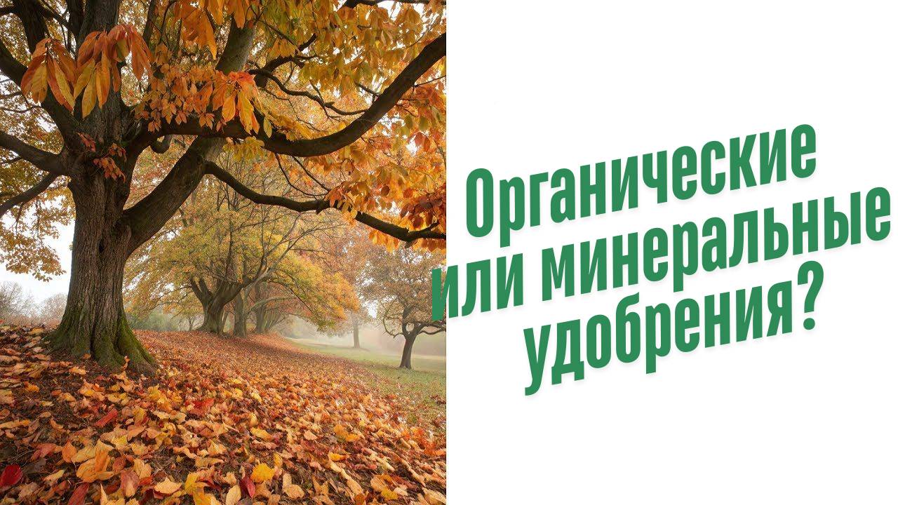 Сравнение удобрений.