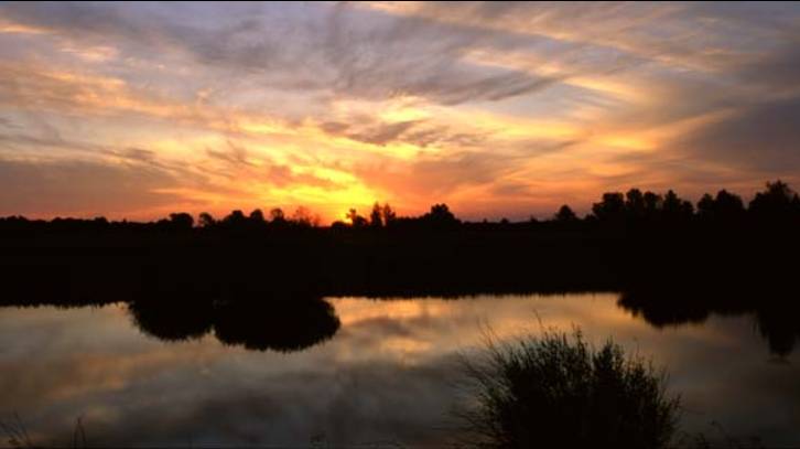 Photo by Viktor Gritcuk