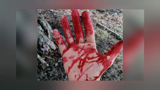 Чок Сары Кая и Построфиль Крым 20