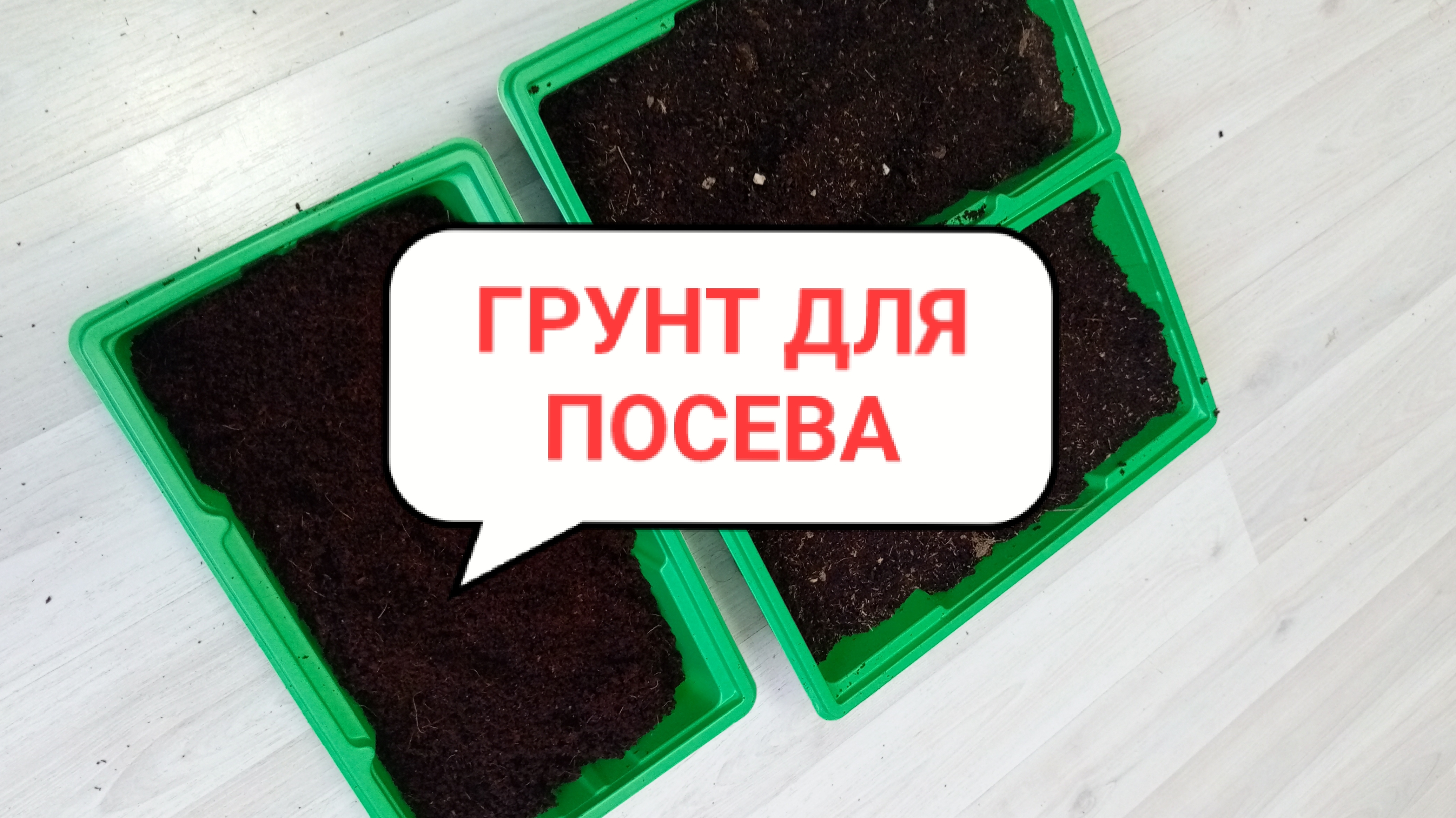 Сеем семена перца и баклажан. Про грунт