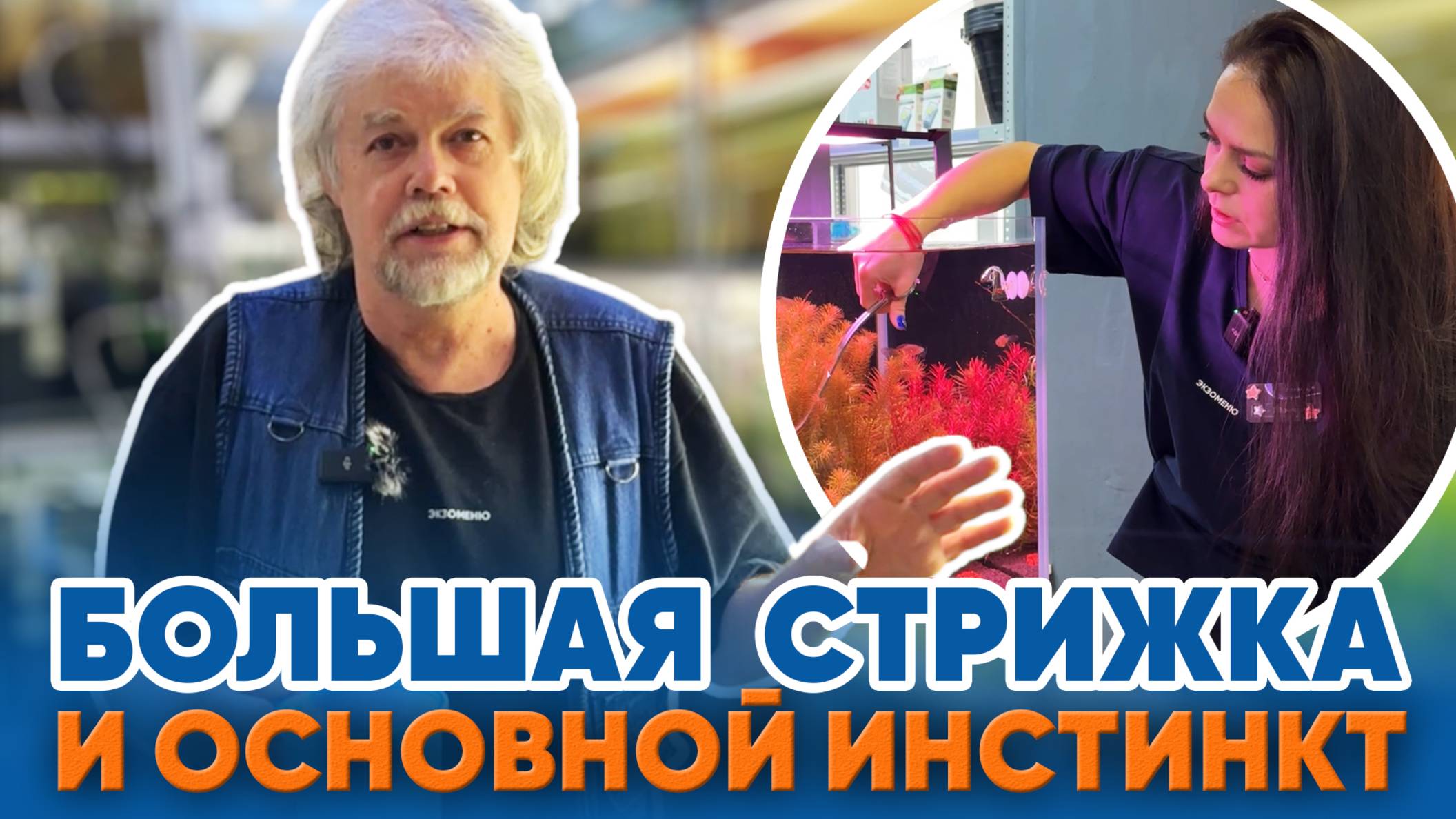 Аквариумные новости с Владимиром Ковалёвым (21.02.2025). Большая стрижка и основной инстинкт.