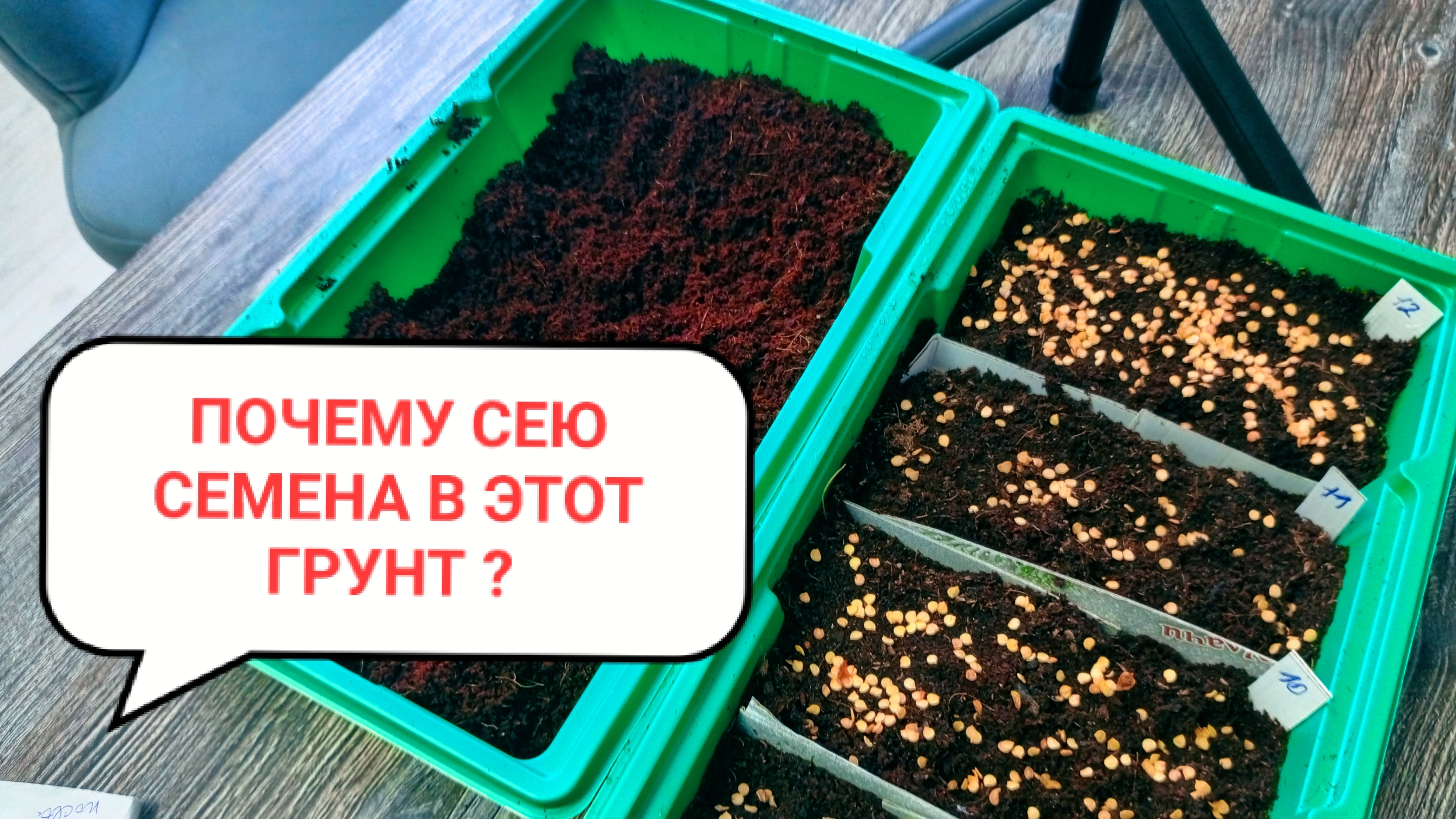 Почему СЕЮ Семена в этот грунт?