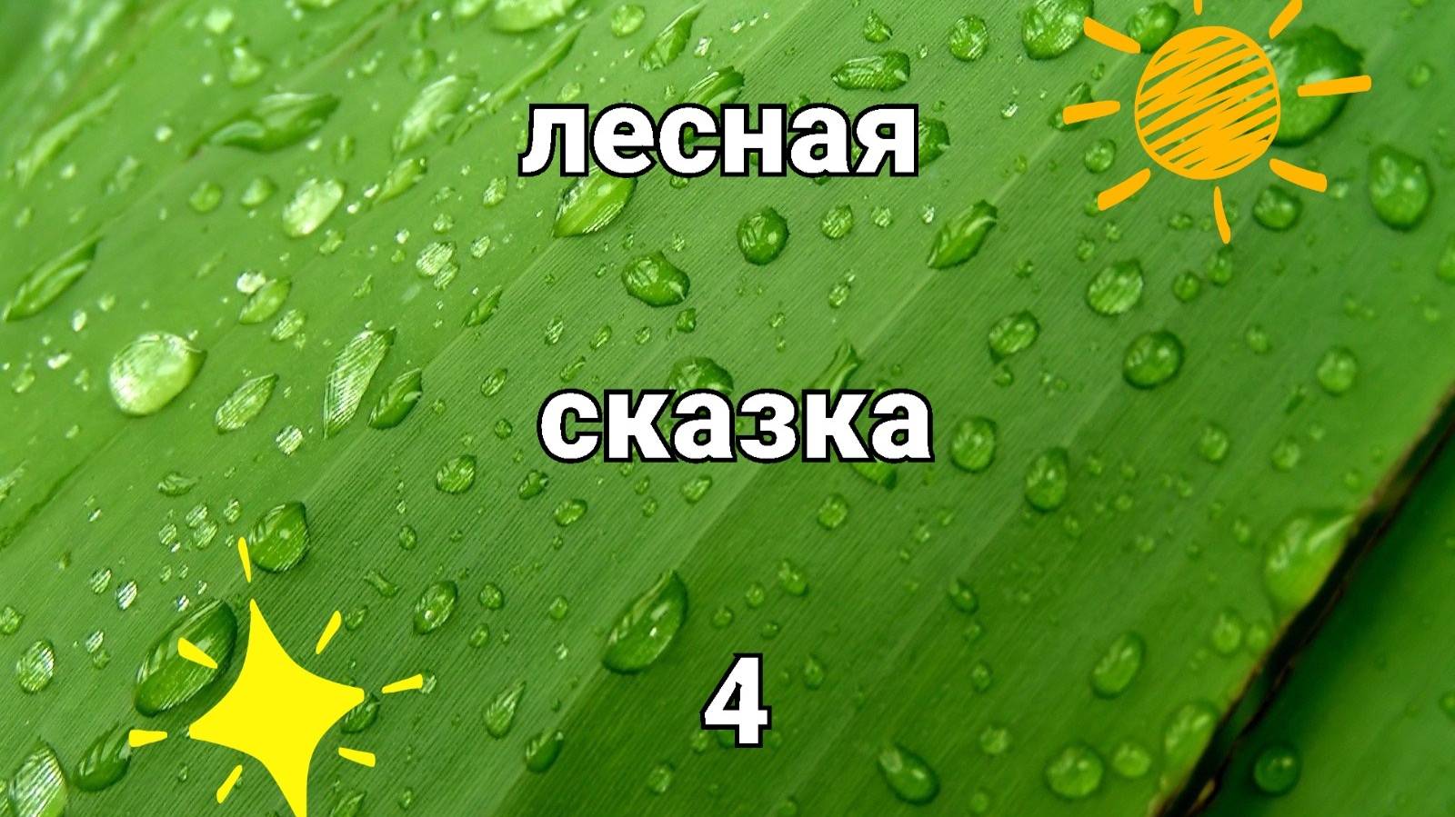 Лесная сказка, глава 4